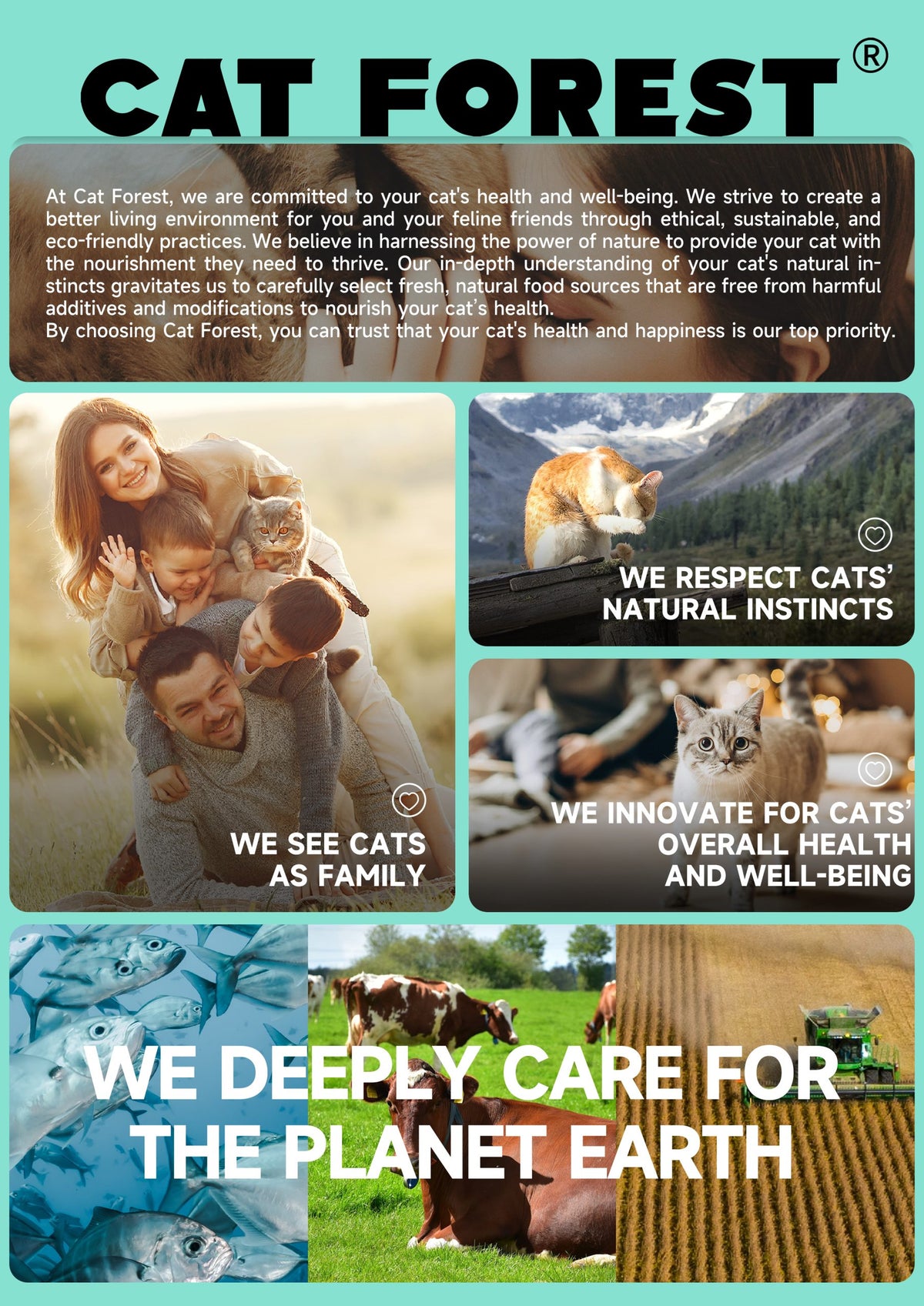 CAT FOREST Premium Tuna White Meat With Mussel In Gravy Cat Canned Foo